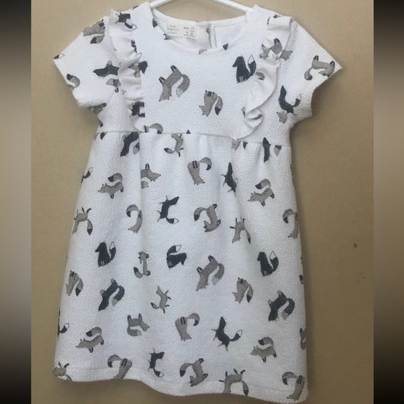 Zara | Dresses | Zara Toddler Girl Dress | Poshmark